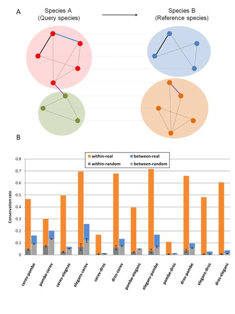 Edge Conservation Across Species A Types Of Conservation We Denote Download Scientific