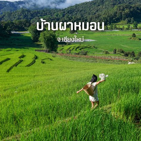 Sneak 🌧️ บ้านผาหมอน 🌾 นาขั้นบันไดไล่ระดับสีเขียวสบายตา ภาพอันสวยงามแบบนี้ต้องช่วงหน้าฝนนี่