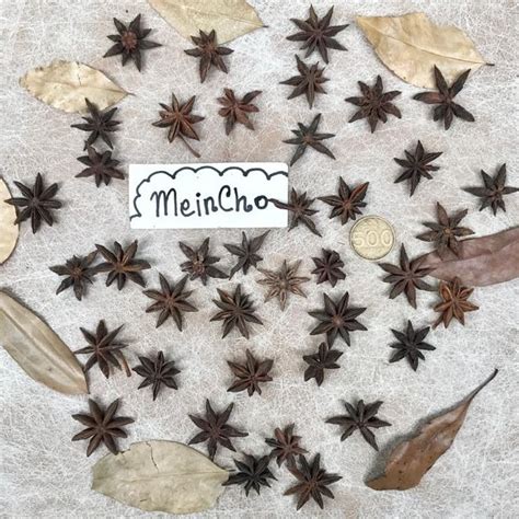 Jual Biji Bunga PEKAK Biji Pokak Star Anise Kering Flower Properti Foto Mahar Dekorasi