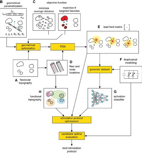 Proposed Optimization Workflow A Parametrization Of The Electrode