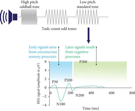 Schematic Of The Erp P300 In The Auditory Oddball Paradigm The Download Scientific Diagram