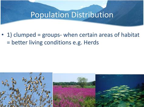 Populations And Communities Ppt Download
