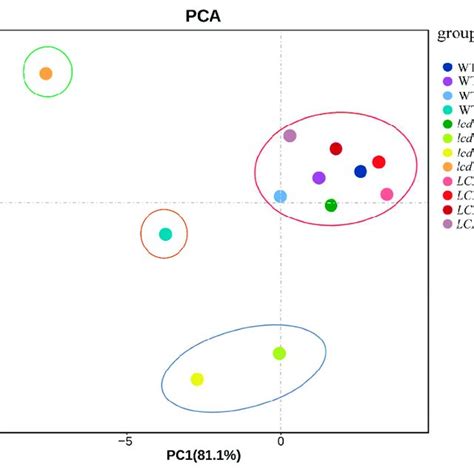 Correlation Analysis Among The Parameters Of Chlorophyll Chlorophyll