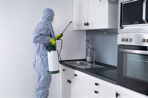 Why Exterminators Are Worth It Exterminator In Parkville