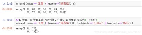 【python】数组 Array、series、dataframe，读取文件 Excel、csvpython的二维series取值 Csdn博客