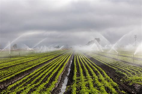 Explainer What Is Micro Irrigation