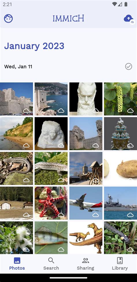 Immich Apk For Android Download