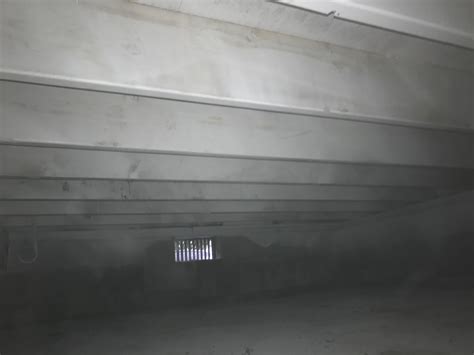 Crawl Space Mold Management