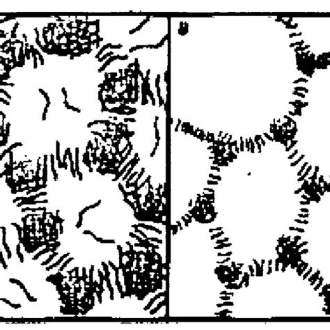 The Scheme Of Transition From Homogeneous To Cellular Dislocation