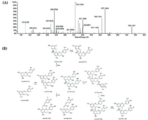 A Tof Msms Spectrum Of Compound 29 And B Its Putative Pattern Of