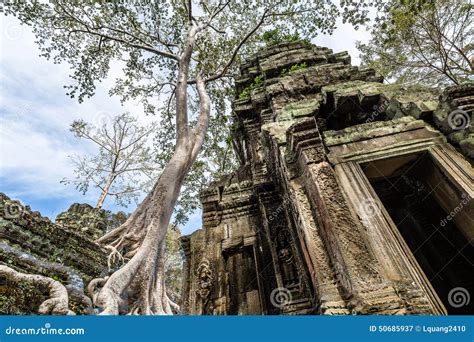 Ta Prohm Temple In Cambodia Stock Image Image Of Manmade Temple
