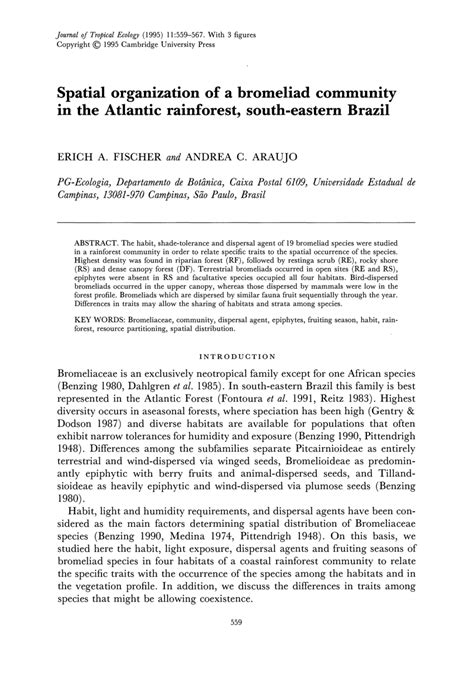Pdf Spatial Organization Of A Bromeliad Community In The Atlantic Rainforest South Eastern Brazil