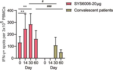 Vaccine Induced T Cell Responses Positive Cells Excreting Specific