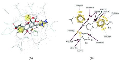 Ligand 302d Interacts With The Macromolecule A 3d View Of