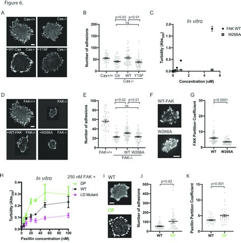 Integrin Adhesion Complexes Are Sensitive To Genetic Perturbations That Download Scientific