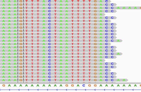 Why Do I Have So Many Mismatches Rbioinformatics