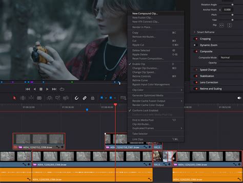 Resolving Rendering Issues In DaVinci Resolve Mirko Fabian