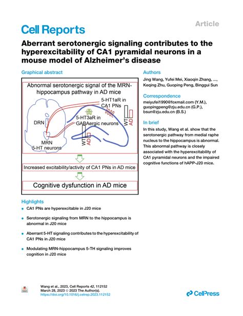 Pdf Aberrant Serotonergic Signaling Contributes To The Hyperexcitability Of Ca1 Pyramidal