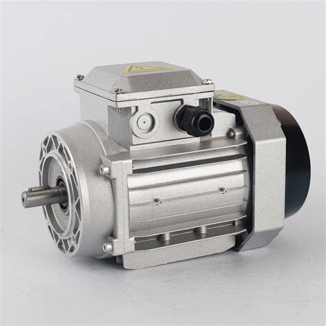Three Phase Asynchronous AC Motor Aluminum High Efficiency Motor Electric Motors And