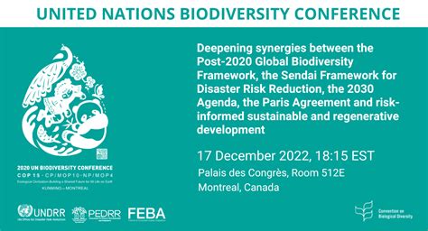 Deepening Synergies Between The Post 2020 Global Biodiversity Framework The Sendai Framework