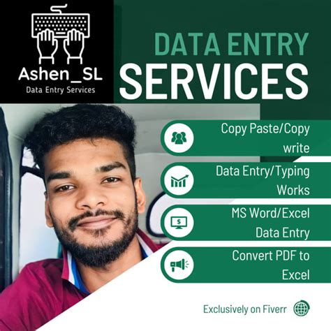 excel data entry copy paste typing pdf to excel by ashen 68 fiverr