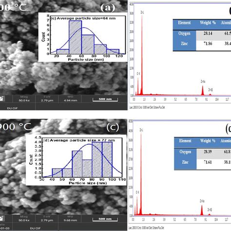 Fe Sem Images And Particle Size Distribution Histograms Of Zno Nps A