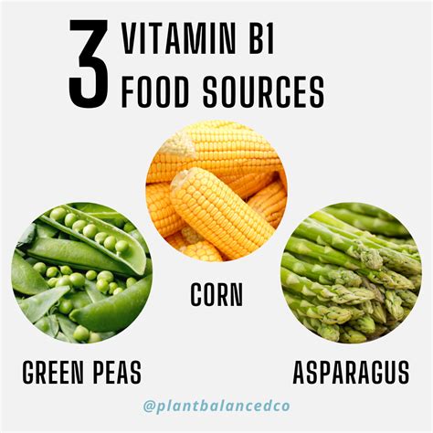 Top Vitamin B1 Rich Foods For A Healthy Diet
