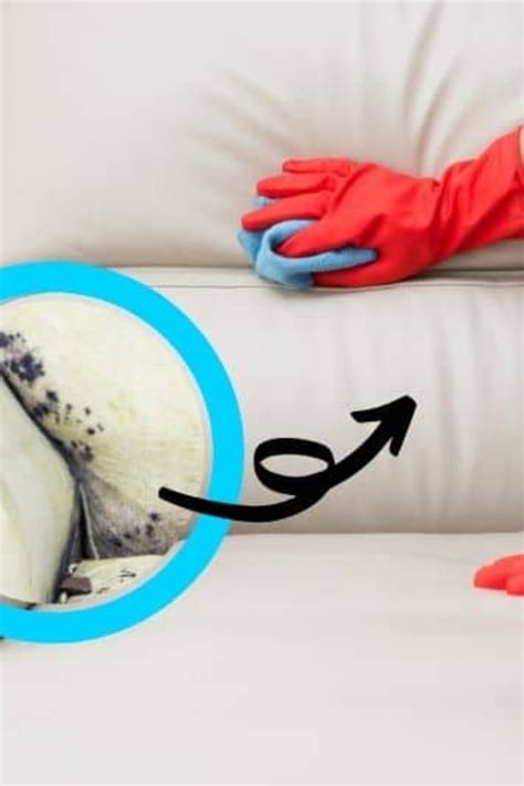 How To Clean Mould Off Upvc Window Frames Artofit