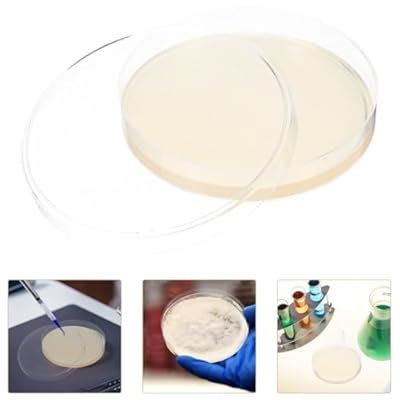 Ultechnovo 10 Pack Agar Plates Vacuum Sealed India Ubuy