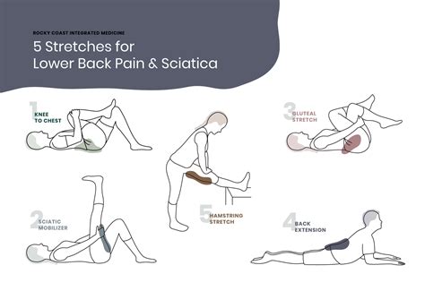 Back Stretching Exercises To Help Relieve Sciatica