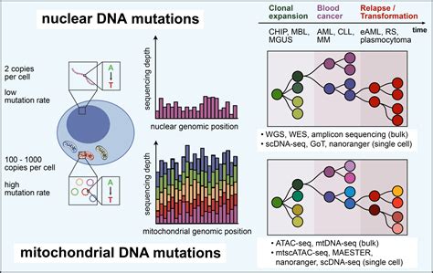 Single Cell Genomics Based Immune And Disease Monitoring In Blood