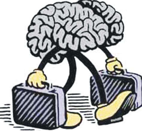 Short Paragraph On Brain Drain Essay Nation