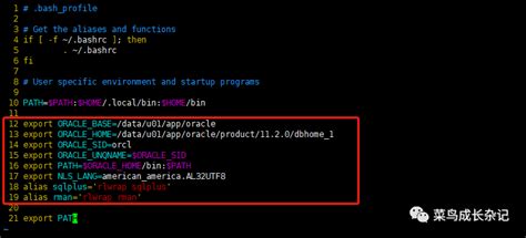 如何在linux Centos7下安装oracle11g的详细教程centos7 安装oracle11g Csdn博客