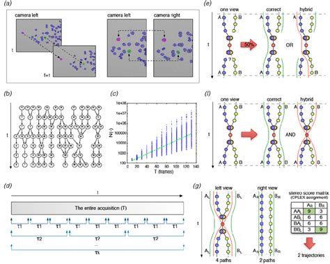 Schematic Drawings Illustrating The Advantage Of The Multi Path