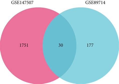Ribonucleic Acid Sequencing Datasets For Hypertrophic Cardiomyopathy Download Scientific