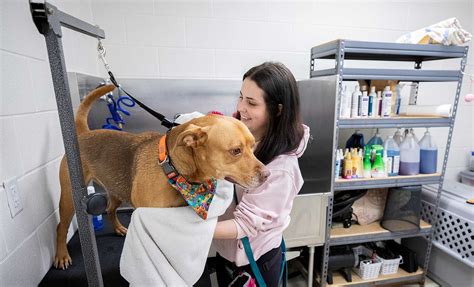 Services - Gloucester-Mathews Humane Society