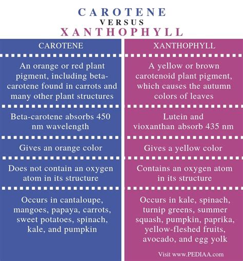 What Is The Difference Between Carotene And Xanthophyll Pediaa Com