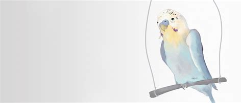 Interview With Illustrator Andy Geppert Design Montage