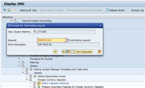 Sap Fi Foreign Currency Valuation