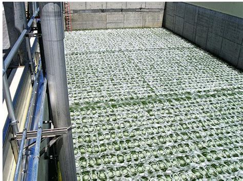Nexom Edi Fine Bubble Aeration Systems Nexom Edi Fine Bubble Aeration Systems