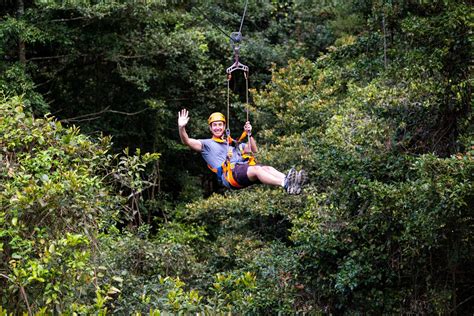 Zipline Tours Explore And Book Your Adventure — Illawarra Fly Treetop