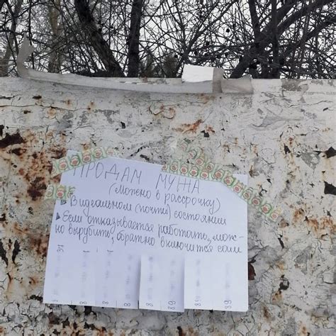 Жительница Новосибирска решила продать мужа