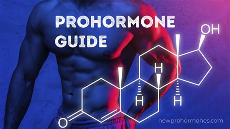 Prohormone Mega Guide Its Time To Answer All The Questions