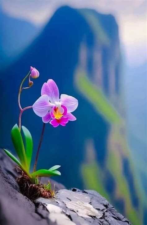 Beauty All Around Us On Tumblr