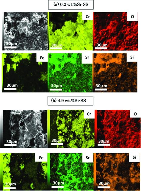 Sem Eds Mapping Of Sample Surface After The Gas Solid Interaction