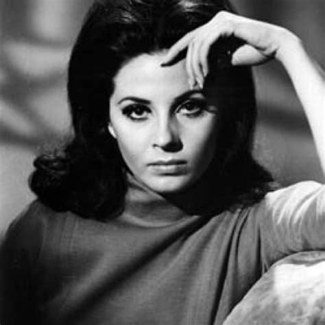 Barbara Perkins Valley Of The Dolls Actresses Hollywood Actresses
