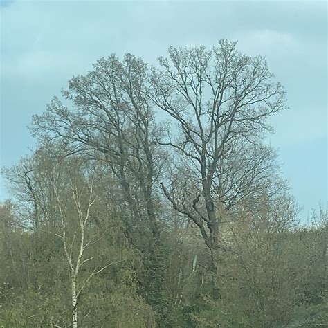 Katharina Hoffmann Youtube