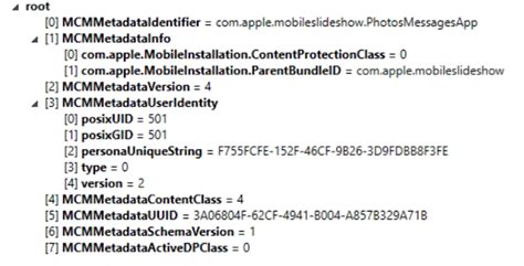 ios tracking bundle ids for containers shared containers and