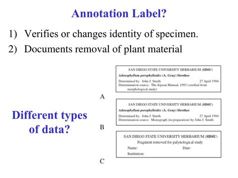 Ppt Herbaria And Database Systems Michael G Simpson Powerpoint