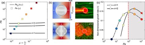 Dependence Of Hydrodynamic Modes On The Péclet Number A Critical